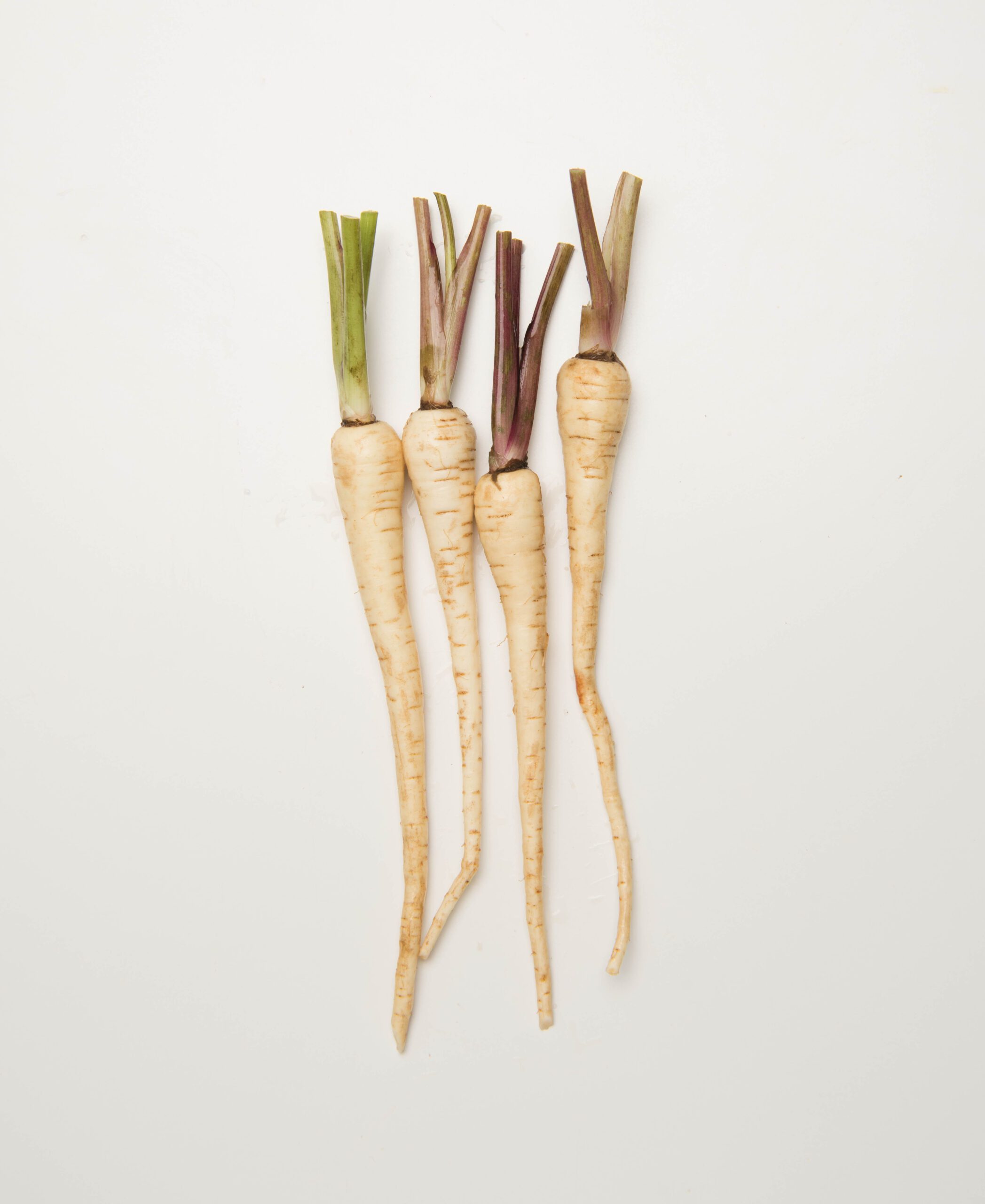 Root | The Chef's Garden