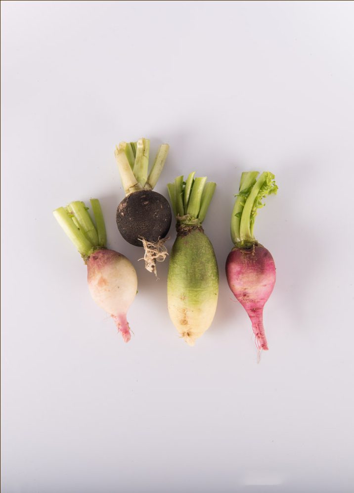 Mixed Fall Radish | The Chef's Garden