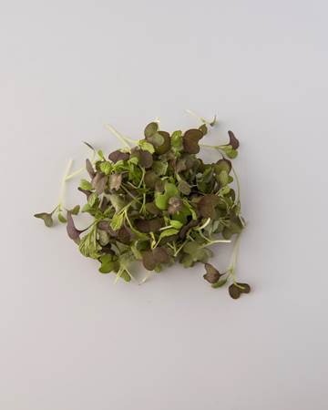 Red Mustard | The Chef's Garden