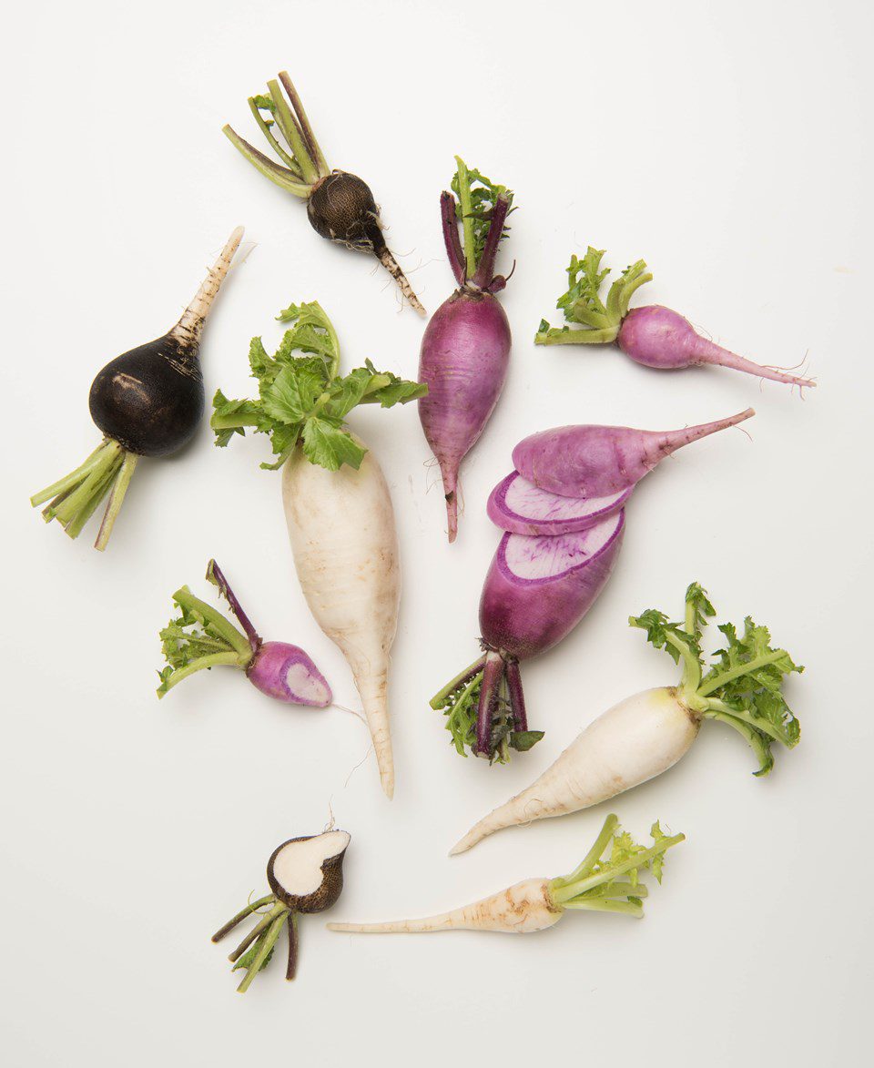 Root Vegetable Sizing Guide From The Chef’s Garden | The Chef's Garden