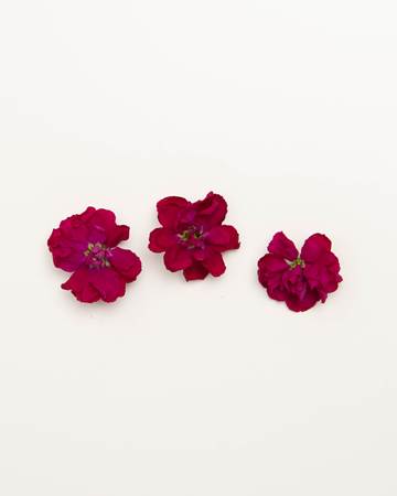 Ruby Mini Floret | The Chef's Garden