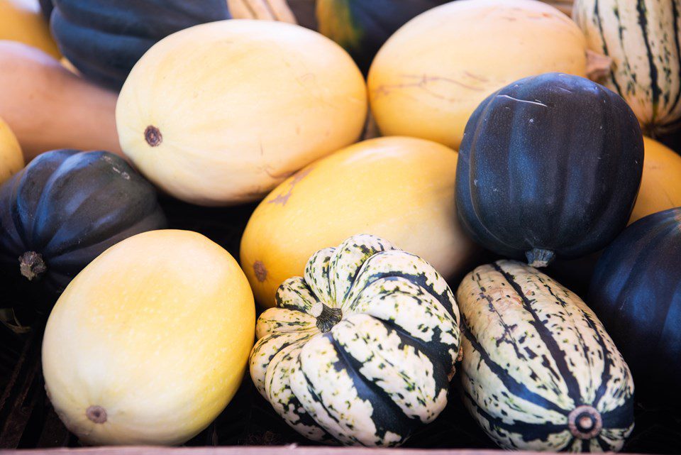 At Home | The Chef's Garden